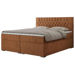 H&ouml;ffner Boxbett mit Bettkasten Pera &brvbar; orange &brvbar; Ma&szlig;e (cm): B: 120 H: 125 &raquo; H&ouml;ffner