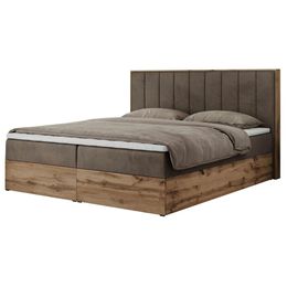 H&ouml;ffner Boxbett mit Bettkasten Bellissimo &brvbar; braun &brvbar; Ma&szlig;e (cm): B: 148 H: 115 &raquo; H&ouml;ffner