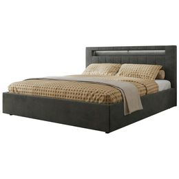 H&ouml;ffner Polsterbett mit Bettkasten Gold 5 Classic grau Ma&szlig;e (cm): B: 208 H: 103 &raquo; H&ouml;ffner