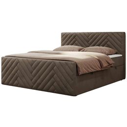 H&ouml;ffner Boxbett mit Bettkasten Paris Duo &brvbar; braun &brvbar; Ma&szlig;e (cm): B: 181 H: 110 &raquo; H&ouml;ffner