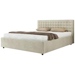 H&ouml;ffner Polsterbett 200x200 Beige mit Bettkasten Pavo Classic beige Ma&szlig;e (cm): B: 208 H: 91 &raquo; H&ouml;ffner