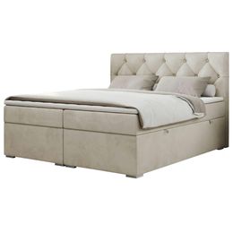 H&ouml;ffner Boxbett mit Bettkasten Alda &brvbar; beige &brvbar; Ma&szlig;e (cm): B: 120 H: 118 &raquo; H&ouml;ffner