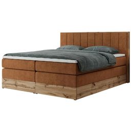 H&ouml;ffner Boxspringbett mit Bettkasten Bellissimo King orange Ma&szlig;e (cm): B: 208 H: 115 &raquo; H&ouml;ffner