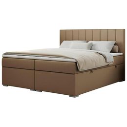 H&ouml;ffner Boxbett mit Bettkasten Ally &brvbar; braun &brvbar; Ma&szlig;e (cm): B: 120 H: 118 &raquo; H&ouml;ffner