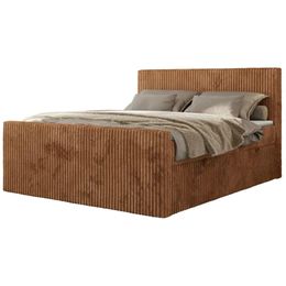 H&ouml;ffner Boxbett mit Bettkasten Tiliano Duo &brvbar; orange &brvbar; Ma&szlig;e (cm): B: 184 H: 119 &raquo; H&ouml;ffner