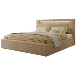 H&ouml;ffner Polsterbett mit Bettkasten Gold 5 Classic beige Ma&szlig;e (cm): B: 188 H: 103 &raquo; H&ouml;ffner