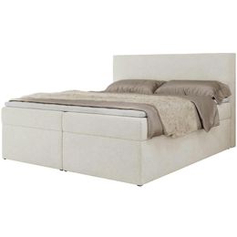 H&ouml;ffner Boxbett mit Bettkasten Jaguar &brvbar; creme &brvbar; Ma&szlig;e (cm): B: 184 H: 119 &raquo; H&ouml;ffner
