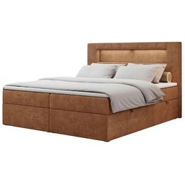 H&ouml;ffner Boxbett mit Bettkasten Gold 5 &brvbar; orange &brvbar; Ma&szlig;e (cm): B: 140 H: 103 &raquo; H&ouml;ffner