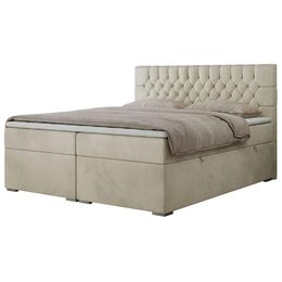 H&ouml;ffner Boxbett mit Bettkasten Pera &brvbar; beige &brvbar; Ma&szlig;e (cm): B: 180 H: 125 &raquo; H&ouml;ffner