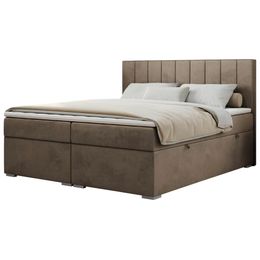 H&ouml;ffner Boxbett mit Bettkasten Ally &brvbar; braun &brvbar; Ma&szlig;e (cm): B: 140 H: 118 &raquo; H&ouml;ffner