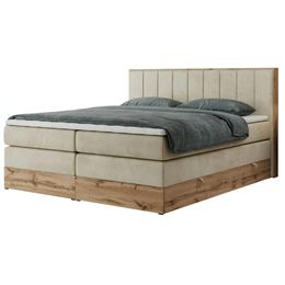 H&ouml;ffner Boxspringbett mit Bettkasten Bellissimo King &brvbar; beige &brvbar; Ma&szlig;e (cm): B: 188 H: 115 &raquo; H&ouml;ffner