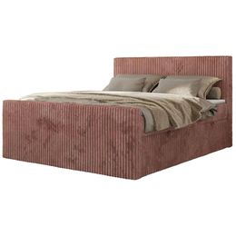 H&ouml;ffner Boxbett mit Bettkasten Tiliano Duo &brvbar; rosa/pink &brvbar; Ma&szlig;e (cm): B: 184 H: 119 &raquo; H&ouml;ffner