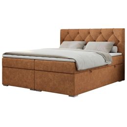 H&ouml;ffner Boxbett mit Bettkasten Alda &brvbar; orange &brvbar; Ma&szlig;e (cm): B: 120 H: 118 &raquo; H&ouml;ffner