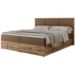 H&ouml;ffner Boxbett mit Bettkasten Albero 2 &brvbar; braun &brvbar; Ma&szlig;e (cm): B: 168 H: 104 &raquo; H&ouml;ffner