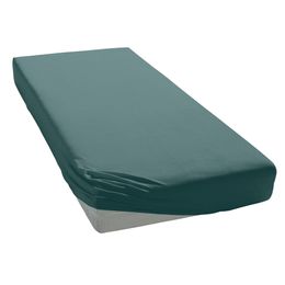 Spannbettlaken OTTO HOME "PHYSALIS in BASIC und PREMIUM Qualit&auml;t, 100% Baumwolle", gr&uuml;n (jade), B:180cm L:200cm, Jersey (110 g/m&sup2;), Obermaterial: 100% Baumwolle, Bettlaken, Spannbettlaken, f&uuml;r Matratzen bis 18 cm H&ouml;he, Bettlaken, Spannbetttuch, pflegeleicht