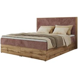H&ouml;ffner Boxbett mit Bettkasten Wood Classic &brvbar; rosa/pink &brvbar; Ma&szlig;e (cm): B: 204 H: 120 &raquo; H&ouml;ffner
