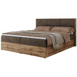 H&ouml;ffner Boxbett mit Bettkasten Albero 2 &brvbar; braun &brvbar; Ma&szlig;e (cm): B: 208 H: 104 &raquo; H&ouml;ffner