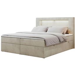 H&ouml;ffner Boxbett mit Bettkasten Gold 5 &brvbar; beige &brvbar; Ma&szlig;e (cm): B: 120 H: 103 &raquo; H&ouml;ffner