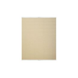 LICHTBLICK Plissee Klemmfix verspannt &brvbar; beige &brvbar; Synthetische Materialien &brvbar; Ma&szlig;e (cm): B: 45 H: 2 &raquo; H&ouml;ffner