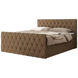 H&ouml;ffner Boxbett mit Bettkasten Miren Duo &brvbar; braun &brvbar; Ma&szlig;e (cm): B: 141 H: 110 &raquo; H&ouml;ffner