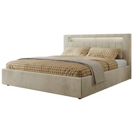 H&ouml;ffner Polsterbett mit Bettkasten Gold 5 Classic beige Ma&szlig;e (cm): B: 208 H: 103 &raquo; H&ouml;ffner