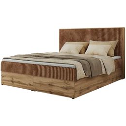 H&ouml;ffner Boxbett mit Bettkasten Wood Classic &brvbar; orange &brvbar; Ma&szlig;e (cm): B: 204 H: 120 &raquo; H&ouml;ffner