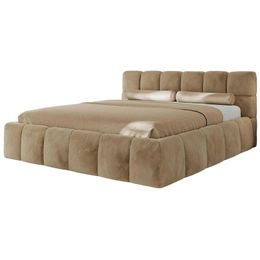 H&ouml;ffner Polsterbett mit Bettkasten Nira Classic beige Ma&szlig;e (cm): B: 186 H: 92 &raquo; H&ouml;ffner