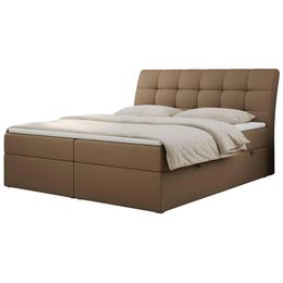 H&ouml;ffner Boxbett mit Bettkasten Diegos &brvbar; braun &brvbar; Ma&szlig;e (cm): B: 140 H: 118 &raquo; H&ouml;ffner