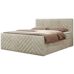 H&ouml;ffner Boxbett mit Bettkasten Paris Duo &brvbar; beige &brvbar; Ma&szlig;e (cm): B: 141 H: 110 &raquo; H&ouml;ffner