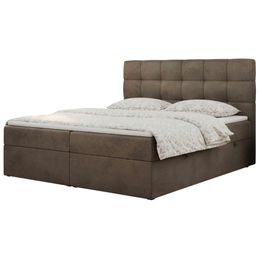 H&ouml;ffner Boxbett mit Bettkasten Erni &brvbar; braun &brvbar; Ma&szlig;e (cm): B: 140 H: 110 &raquo; H&ouml;ffner