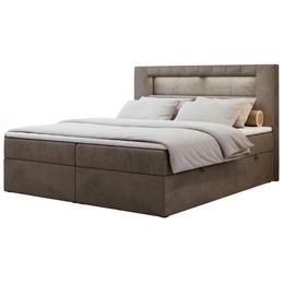 H&ouml;ffner Boxbett mit Bettkasten Gold 5 &brvbar; braun &brvbar; Ma&szlig;e (cm): B: 200 H: 103 &raquo; H&ouml;ffner