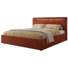 H&ouml;ffner Polsterbett mit Bettkasten Gold 5 Classic orange Ma&szlig;e (cm): B: 168 H: 103 &raquo; H&ouml;ffner