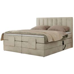 H&ouml;ffner Motor Boxspringbett mit Bettkasten Comforto &brvbar; beige &brvbar; Ma&szlig;e (cm): B: 148 H: 124 &raquo; H&ouml;ffner