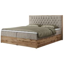 H&ouml;ffner Boxbett mit Bettkasten Amore &brvbar; beige &brvbar; Ma&szlig;e (cm): B: 168 H: 115 &raquo; H&ouml;ffner