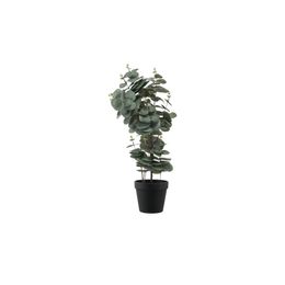 H&ouml;ffner Eukalyptus getopft gr&uuml;n Kunststoff Ma&szlig;e (cm): H: 54 &Oslash;: 25 &raquo; H&ouml;ffner