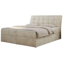H&ouml;ffner Boxbett mit Bettkasten Diegos &brvbar; beige &brvbar; Ma&szlig;e (cm): B: 160 H: 118 &raquo; H&ouml;ffner