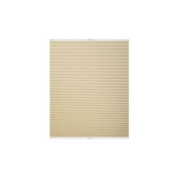 LICHTBLICK Plissee Klemmfix verspannt &brvbar; beige &brvbar; Synthetische Materialien &brvbar; Ma&szlig;e (cm): B: 65 H: 2 &raquo; H&ouml;ffner