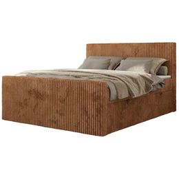 H&ouml;ffner Boxbett mit Bettkasten Tiliano Duo &brvbar; orange &brvbar; Ma&szlig;e (cm): B: 144 H: 119 &raquo; H&ouml;ffner