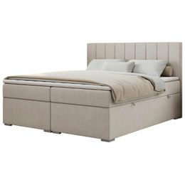 H&ouml;ffner Boxbett mit Bettkasten Ally &brvbar; beige &brvbar; Ma&szlig;e (cm): B: 160 H: 118 &raquo; H&ouml;ffner