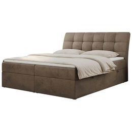 H&ouml;ffner Boxbett mit Bettkasten Diegos &brvbar; braun &brvbar; Ma&szlig;e (cm): B: 200 H: 118 &raquo; H&ouml;ffner