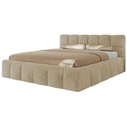 H&ouml;ffner Polsterbett mit Bettkasten Nira Classic creme Ma&szlig;e (cm): B: 206 H: 92 &raquo; H&ouml;ffner