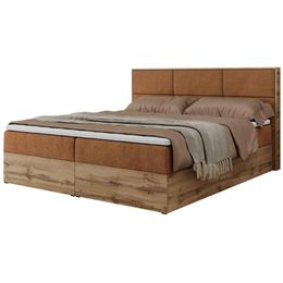 H&ouml;ffner Boxbett mit Bettkasten Albero 2 &brvbar; orange &brvbar; Ma&szlig;e (cm): B: 168 H: 104 &raquo; H&ouml;ffner