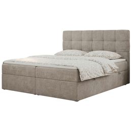 H&ouml;ffner Boxbett mit Bettkasten Erni &brvbar; beige &brvbar; Ma&szlig;e (cm): B: 120 H: 110 &raquo; H&ouml;ffner