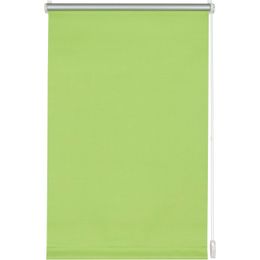 Seitenzugrollo Gardinia "EASYFIX Rollo Thermo ENERGIESPAREND" Gr. 6, gr&uuml;n (apfelgr&uuml;n), B:90cm H:210cm, Polyester, Rollos, Seitenzugrollo, abdunkelnd mit Thermobeschichtung