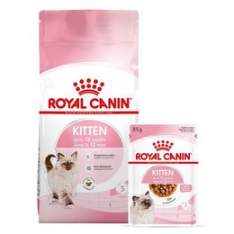 Royal Canin KITTEN Trockenfutter 2kg + Nassfutter in So&szlig;e 12x85g