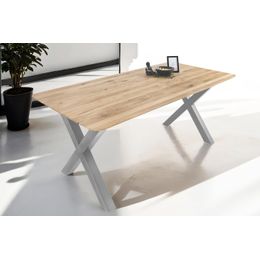 Esstisch Lotte - runde Ecken / 200x100 / X-Gestell Silber