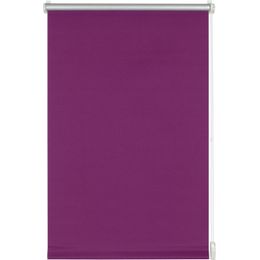 Seitenzugrollo Gardinia "EASYFIX Rollo Thermo ENERGIESPAREND" Gr. 3, lila, B:75cm H:150cm, Polyester, Rollos, Seitenzugrollo, abdunkelnd mit Thermobeschichtung