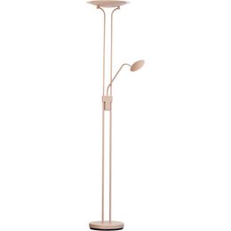 Fischer und Honsel FISCHER & HONSEL Stehlampe "Tallri", schwarz, greige, 1, H: 180cm, 1 Stk., Leuchten, Farbtemperatur in 3 Stufen einstellbar, Stehlampe