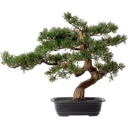 Kunstbonsai Creativ green "Bonsai Zeder", gr&uuml;n, B:40cm H:40cm T:24cm, Kunststoff, Kunstpflanzen