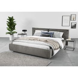Polsterbett Home Affaire "Adrina mit Biesenoptik, Feincord und Luxus-Microfaser", grau, B:202cm H:91cm L:230cm, 95% Polyester;5% Nylon, Betten, Polsterbett, bis 280kg, auch in &Uuml;berl&auml;nge 220 cm, 4 Breiten bis 200cm